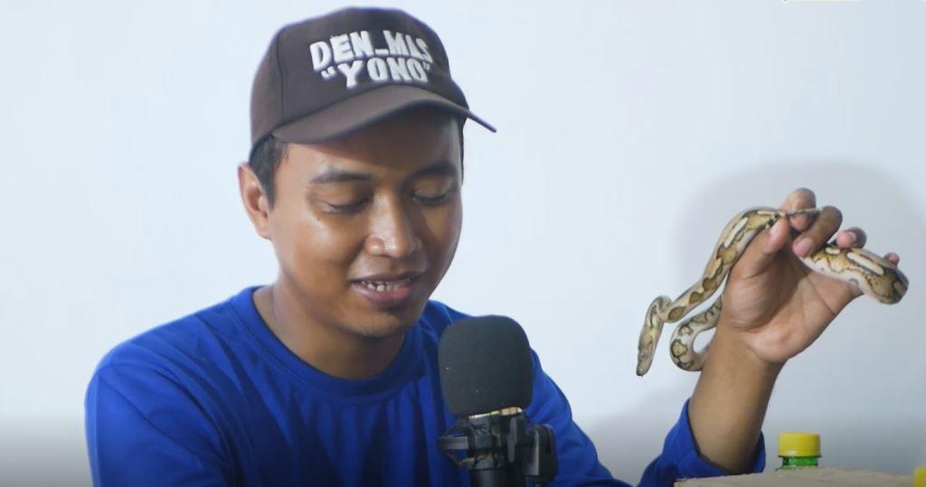 Relawan Reptil Pacitan, Dari Hobi, Kini Jadi Pawang Ular